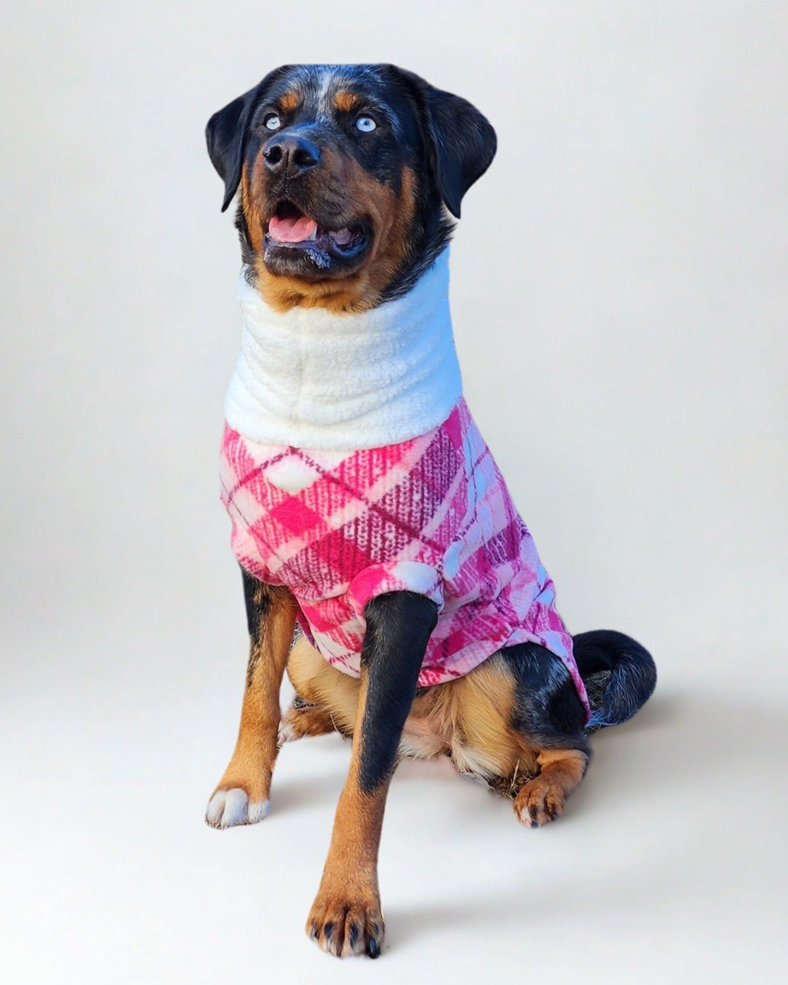 Pink Plaid Fleece Dog Sweater with Sherpa Turtleneck by Jax & Molly’s ...